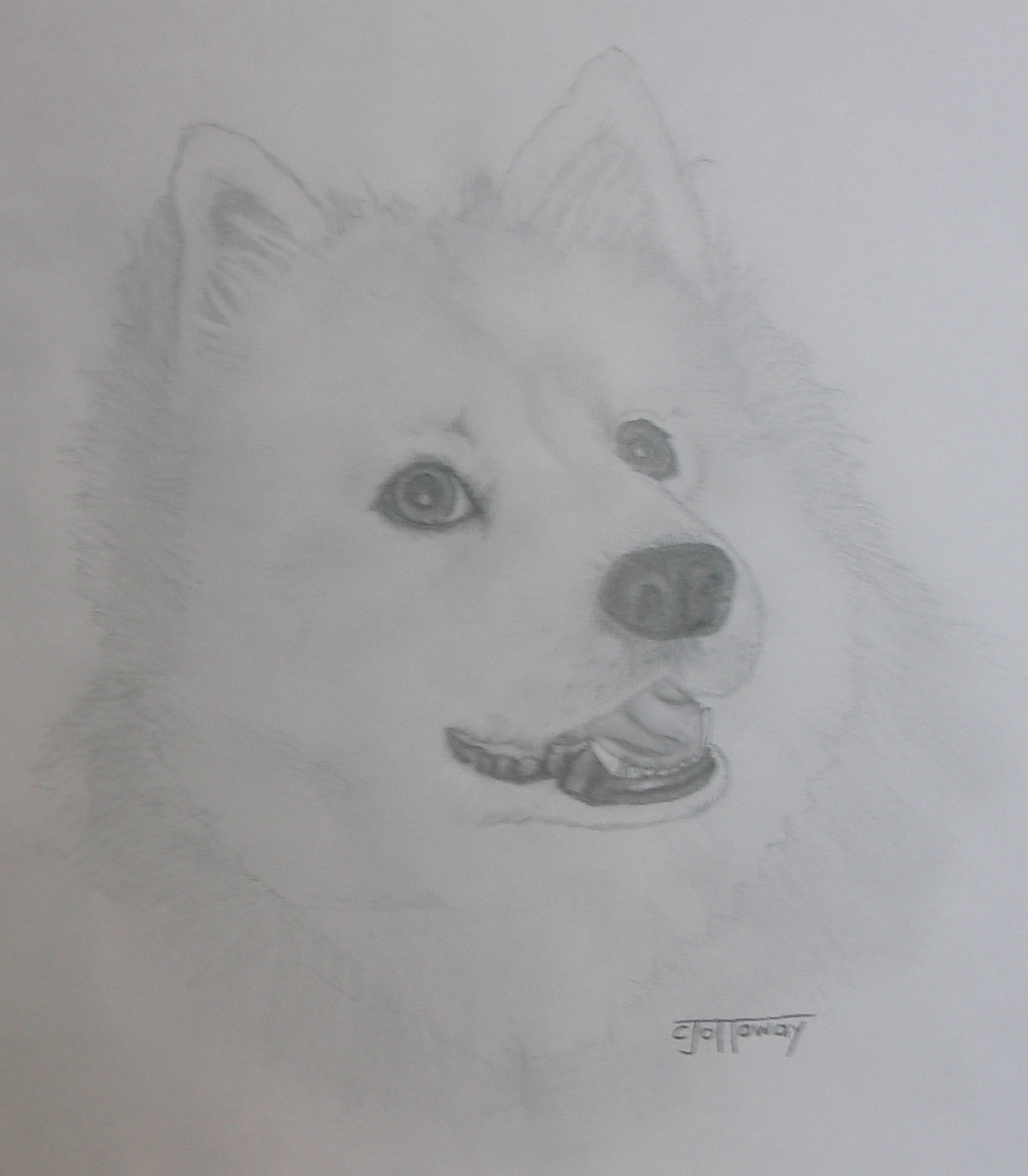 Portfolio – Carol Ottaway